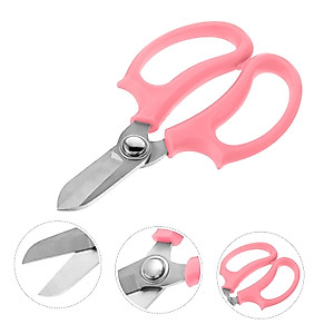 TEHAUX 2 Pcs Cutting Shears Floral Shears Garden Scissor Plant Shear Pole Pruning Shear Trimming Shear Florist Scissor Branch Cutter Loppers Grafting Scissors Stainless Steel Pp Plastic