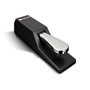 Casio CT-X700 61-Key Portable Keyboard and M-Audio SP-2 - Universal Sustain Pedal with Piano Style Action For MIDI Keyboards, Digital Pianos & More