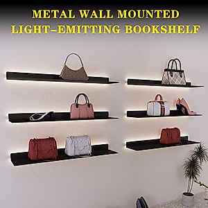 MOFGOE Floating Display Shelf with Built-in Illuminated LED Light and Invisible Brackets, Metal Wall Mounted Light-Emitting Bookshelf, Wall Decor Set of 2, Small Lighted Display Stand,80cm/32in