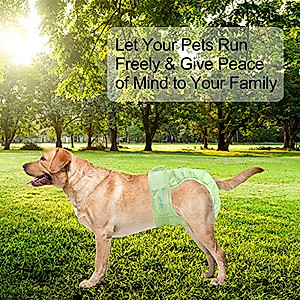 wegreeco Luxury Washable Reusable Dog Diapers (Stylish Pattern) - Durable Female Dog Diapers, Doggie Diapers, 3 Pack (Vigorous, Large)