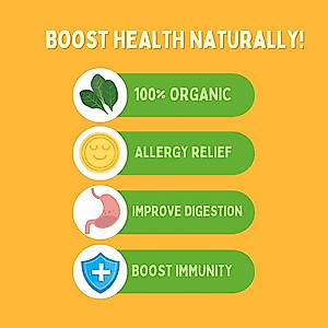 Gut Healthy Dog Prebiotic Super Powder - Digestive Health Supplement for Dogs - Supports Gut Microbiome - Boosts Immune System - Made in USA