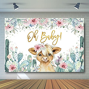 Avezano Oh Baby Sign Backdrop Mexican Fiesta Cactus Theme Baby Shower Party Decorations Holy Cow Baby Shower Decorations Oh Baby Photoshoot Background Banner (7x5ft)