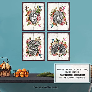 Human Anatomy Floral Hummingbird Wall Art Poster Set - 8x10 Rustic Heart, Brain, Lungs for Doctor, Medical Office, Living Room, Bedroom - Shabby Chic Goth Gift for ER Nurse Practitioner, RN, CNA