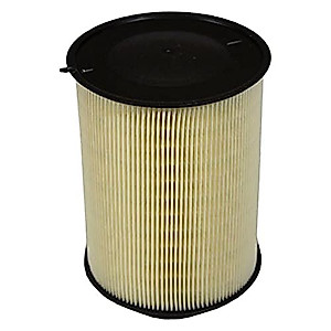 Motorcraft - Element Asy - Air Cleaner (FA1908)