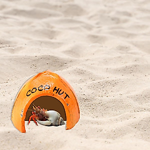 Needzo Hermit Crab Coconut Hut, Small Hideout for Pet Habitat, Color and Size May Vary, 2.25 to 3 Inches