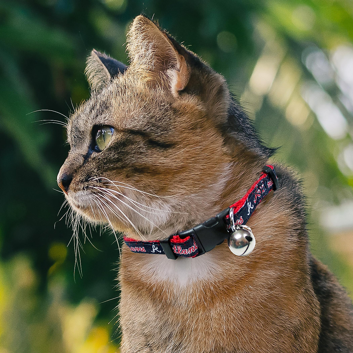 MLB CAT COLLAR. - ATLANTA BRAVES CAT COLLAR. - Strong & Adjustable BASEBALL Cat Collars with Metal Jingle Bell