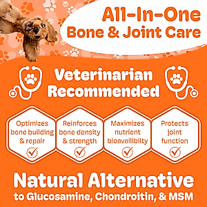 Boneo Canine Maintenance Formula- Lactoferrin-Based Bone and Joint Supplement for Dogs- 90 Ct Chewable Tablets, Liver and Sausage Flavor