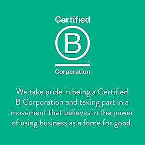 Stash Tea Bold Black Tea Sampler - Assortment of Caffeinated Premium Teas, Including English Breakfast, Irish Breakfast and Earl Grey Tea, 18-20 Count (Pack of 3)