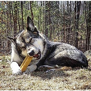 Bully Bunches Mega Authentic Yak Cheese Himalayan Chews for Giant Dogs & Super Aggressive Chewers - All Natural Dog Treat Dental Chews, Made with Real Yak Milk - Lactose & Rawhide Free (2 PK)