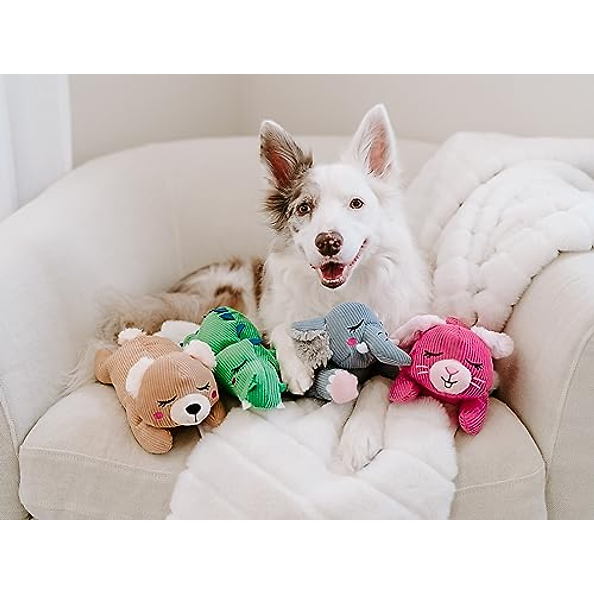 ZippyPaws Snooziez with Shhhqueaker - Alligator Dog Toy with Silent Squeakers, Quiet Puppy Toys for Boy and Girl Dogs, Small Plush Dog Gifts