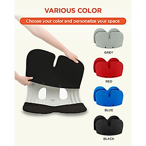 curble Grand Cover, Detachable Cover for Adult Chair, Ergonomic Chair Back Support and Lumbar Support (Black)