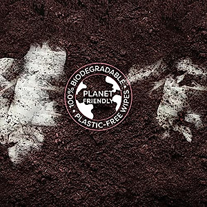 Rawganic Anti-aging Hydrating Facial wipes, Fragrance-free Biodegradable Organic Cotton Wipes with Pomegranate and Aloe Vera (set of 4)