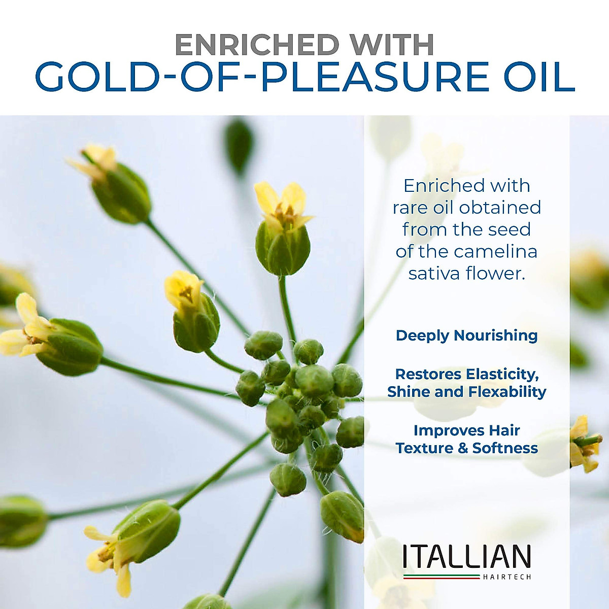 Itallian Hairtech Conditioner Cream for Chemical Treated Hair 8.45 fl oz. - Deep Conditioning and Moisturizing Dry, Damaged and Keratin Brazilian Blowouts With Natural Oils - Professional Trivitt