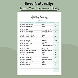 Budget Planner and Monthly Bill Organizer - Financial Planner –12-Month Budget Organizer, Budget Book Planner - Income and Debt Tracker Planner, Business Expense Tracker Notebook and Bill Planner