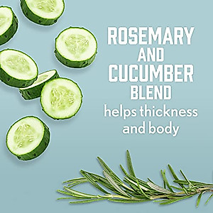 Aveeno Fresh Greens Shampoo + Conditioner with Rosemary, Peppermint & Cucumber to Thicken & Nourish, Clarifying & Volumizing Shampoo for Thin or Fine Hair, Paraben-Free, 12 Fl Oz