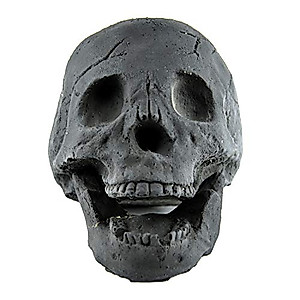 MYard Fireproof Imitated Human Fire Pit Skull Gas Log for NG, LP Wood Fireplace, Firepit, Campfire, Halloween Decor, BBQ (Qty 1, Black)