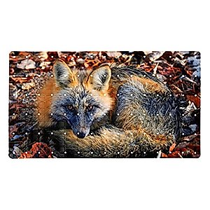 Non-Slip Bathtub Mats Foxes Fall Autumn Prints Soft Bath Tub Bathroom Shower Mat for Baby and Adults, Machine Washable