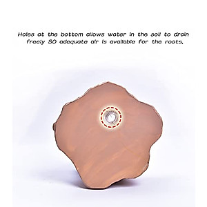 Cute Hedgehog Flowerpot with Drainer Garden Flowerpot Resin Succulent Potted Bonsai Plant Stand Home Desk Mini Ornaments Balcony Gardening Flowerpot Does Not Contain Plants