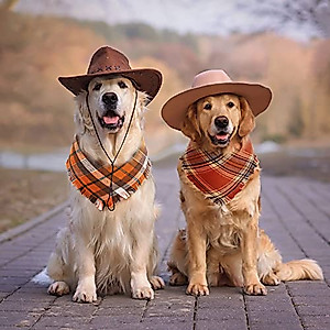 Whaline Fall Dog Bandana Autumn Dog Bibs Rustic Vintage Plaids Reversible Washable Triangle Dog Scarf Pet Neckerchief for Small Medium Large Pet Cat Dog Thanksgiving Costume Accessories, 2 Pack