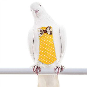 GLOGLOW Birds Diaper, Reusable Birds Flight Suits Nappy Diaper Clothes Washable Flight Nappy Parrot Diaper Nappies Parrots Pigeons Diaper (Yellow M)