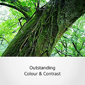 Sony 55mm F1.8 Sonnar T FE ZA Full Frame Prime Lens - Fixed