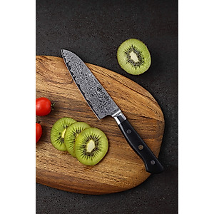 KATSURA Santoku Knife – 5 Inch – Japanese Premium AUS 10, 67 Layers Damascus Steel Knife