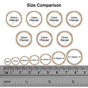 Conch Hoop Ring Hinged Segmet Clicker Seamless Nose Rings Hoops 316L Surgical Steel Rose Gold Septum Jewelry 16G Cartilage Tragus Earrings Helix Rook Daith Ring Lobe Lip Hoop Piercing Jewelry 10mm