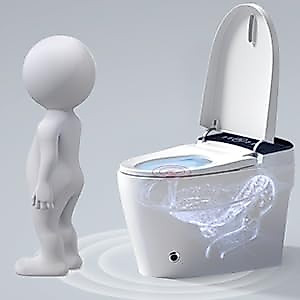 Smart Toilets with Heated Bidet Seat, Portable toilet with bidet built in AUTO Open&Close, Bidet toilet with Dryer and Warm Water,Tankless Toilet in 1.28GPF, White