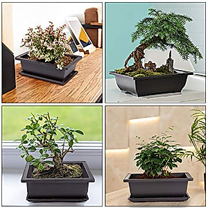 8 Packs Bonsai Training Pot with Humidity Tray - 6.5inch & 8.9inch Small Bonsai Tree Pots Kit, Plastic Plants Growing Planter with Drainage Tray, Indoor Decor Garden Yard