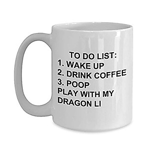 Dragon Li Owner Mug Cat Lovers To Do List Funny Coffee Mug Tea Cup Gag Mug for Men Women
