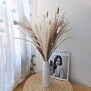 LEUEE 60Pcs Natural Dried Flowers Pampas Grass Phragmites Communis Bouquet Dried Reed Grass Plumes Dried Flowers for Wedding Vase Indoor Home Garden Party Arrangements Art Craft