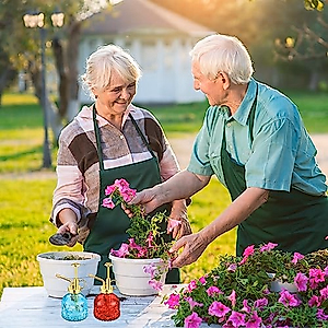 8 Pcs Glass Plant Mister Spray Bottle 200ml Vintage Plant Spritzer Multicolor Succulent Watering Bottle Watering Can 6.4'' with Plastic Top Pumps for Indoor Outdoor Succulents Garden Plants (Gold)