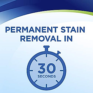 Bissell Woolite InstaClean Pet Full Size Machine Formula, 32 oz