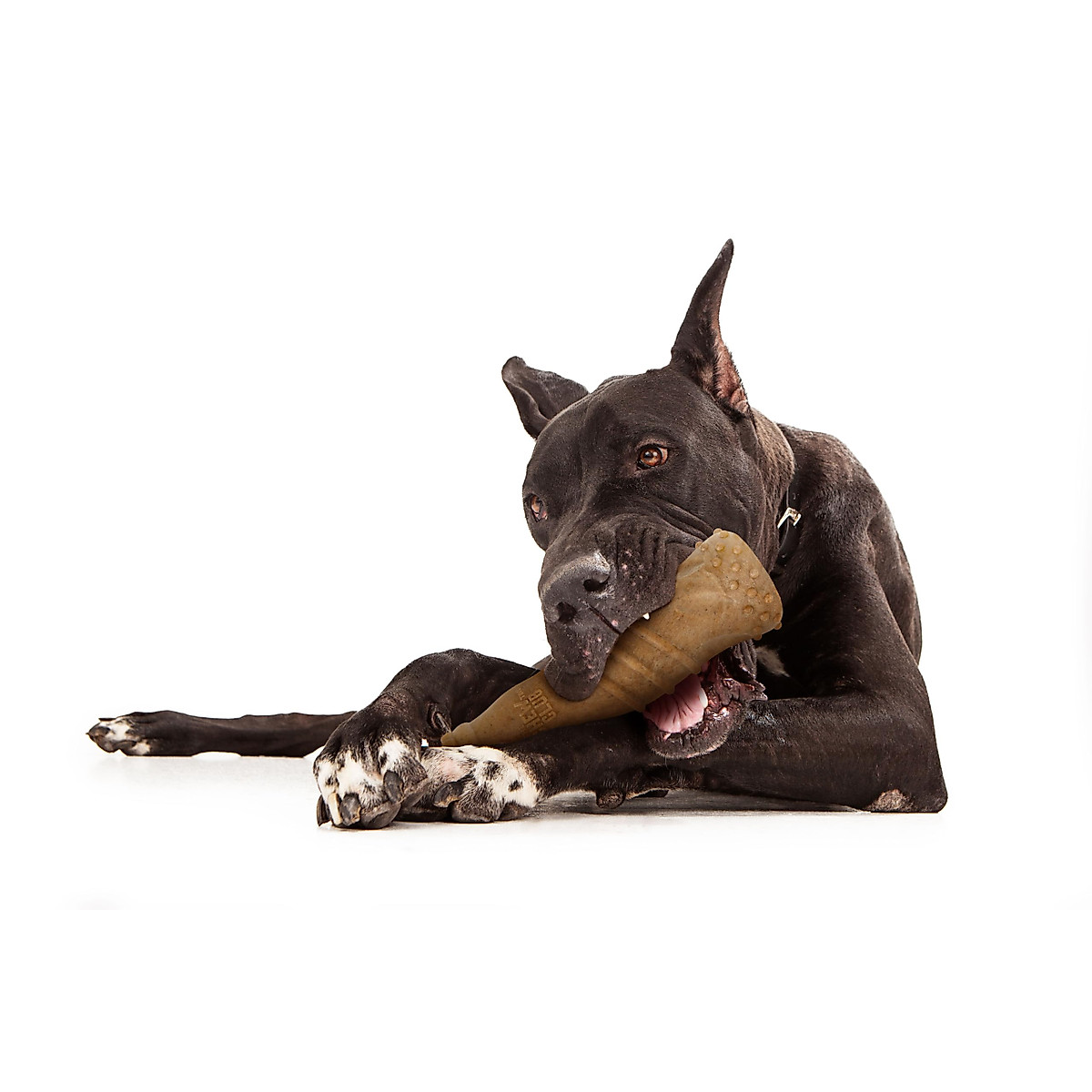 Power Bone Pet Chew Toy for Dogs - Durable, Non Toxic & Pet Safe - Best for Aggressive Chewers, Long Lasting Dental Health, Dog Teeth Cleaning, Dog Life Stages - Bottle 6.5''