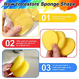 Hapy Shop 24 Pack Round Painting Sponge Synthetic Artist Sponges Ceramic Sponges for Painting, Crafts, Ceramics, Household Use and More, 2.8 Inch
