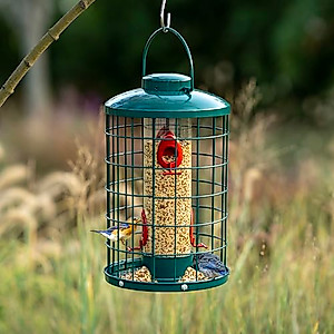 Mosloly Caged Bird Feeder for Wild Birds Outside, Large Squirrel-Proof Heavy-Duty Metal Hanging Tube Bird Feeder, 4 Feeding Ports, 13.2'' High, 3LB Seed Capacity (Green)