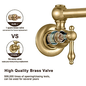 WOWOW Gold Pot Filler Faucet, Wall Mount Copper Folding Faucet 2 Handle with Double Joint Swing Arms, Single Hole Brass Commercial Kitchen Faucet Over Stove