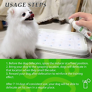 Petstoral Pet Potty Training Spray for Dogs & Cats - Puppy Essentials, Dog Training & Behavior Aids. My Pet Peed - Prevent Your Pet from Soiling The Carpet - 1.69 Oz