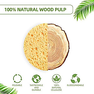 60-Count Compressed Facial Sponges|100% Natural Kickleen Cellulose Cosmetic Spa Sponges for Daily Facial Cleansing|Makeup and Mask Removal | Exfoliating | Skin Massage | Pore Exfoliation (Yellow)