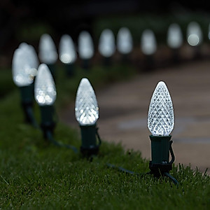 Wintergreen Lighting 25’ OptiCore LED Cool White Pathway Christmas Lights, C9 Outdoor White Christmas Lights, 4.5” Stakes, Green Wire Plug String Lights