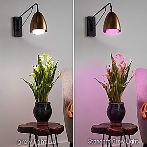 GE Grow Light LED Indoor Flood Light Bulb, Balanced Light Spectrum for Seeds and Greens, 9 Watts, Medium Base (Pack of 1)