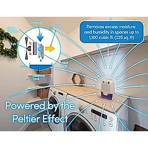 Whisper-quiet Eva-Dry EDV-1100 16 OZ Dehumidifier with Auto Shut Off for Home, Bedroom 1100 cubic feet (225 sq. ft), Bathroom, Kitchen, RV, and Closet - Small Dehumidifiers to Remove Moisture