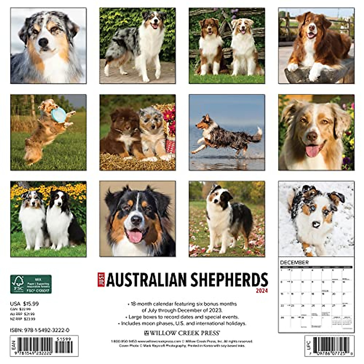 Willow Creek Press Australian Shepherds Monthly 2024 Wall Calendar (12" x 12")