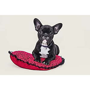 Kate Seamless Paper Backdrop for Photography Beige Cream Photo Backdrop Paper (53''x16.4' Ivorine)