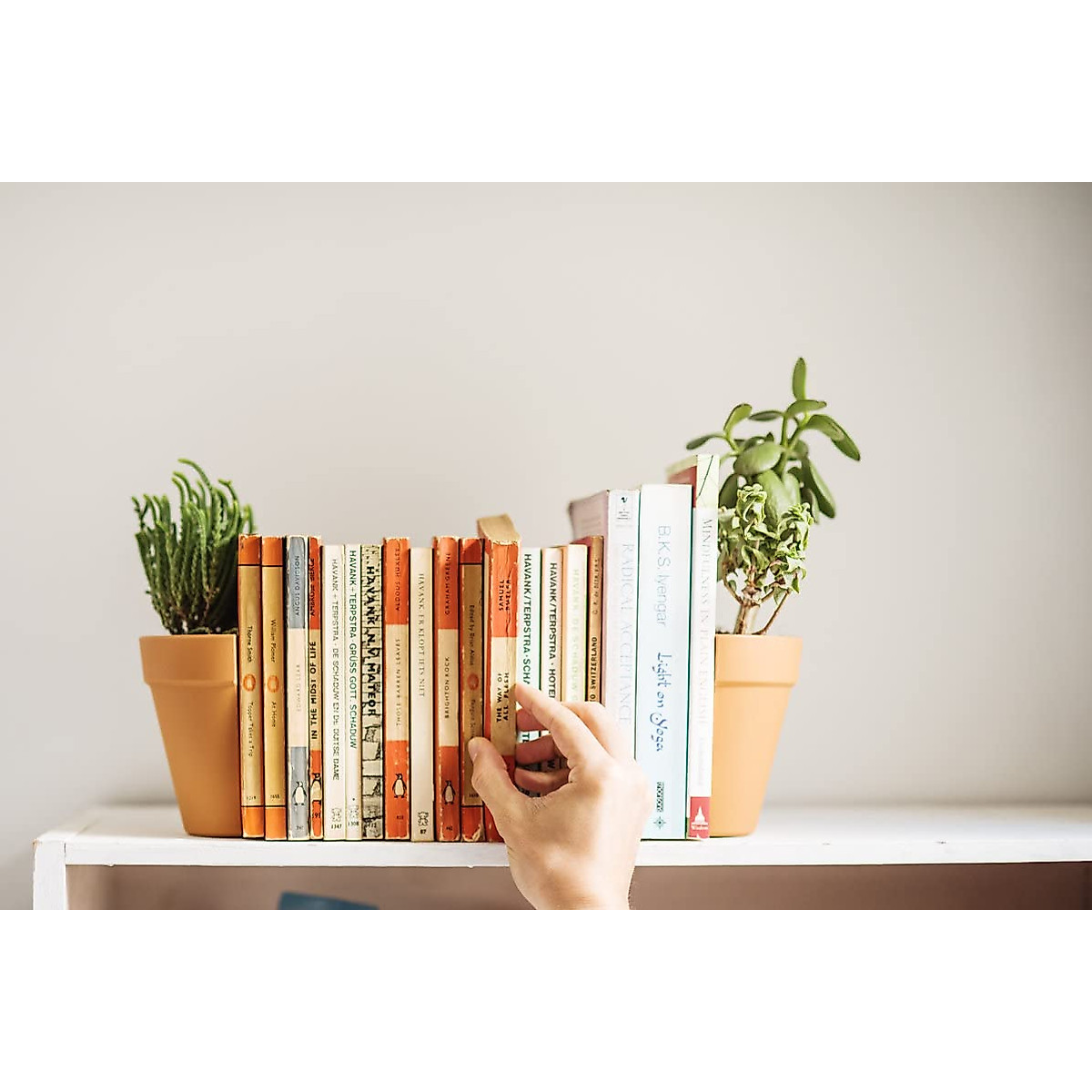 Suck UK - Bookends | Plant Pot Book Ends | 2 Decorative Book Ends for Shelves | Holder & Indoor Plant Office Accessories | Flower Pot Set for Plants | Aesthetic Home Decor & Gifts Her