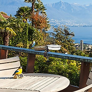 Deck Bird Feeders Deck Mount Bird Bath Spa for Dual Use Deck Flower Stand Flower Pot Great for Attracting Birds Detachable and Adjustable Heavy Duty Sturdy Steel,Bronze