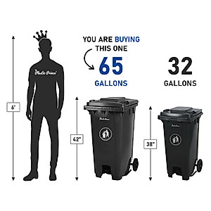 PLASTIC PRINCE 65 Gallon Step-On Rollout Trash Can with Lid, Commercial Heavy-Duty Container with Wheels, Gray