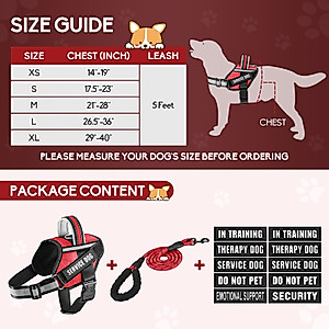 Service Dog Vest Harness and Leash Set, Animire in Training Dog Harness with 10 Dog Patches, Reflective Dog Leash with Soft Padded Handle for Small, Medium, Large, and Extra-Large Dogs (RED,XS)