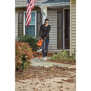 BLACK+DECKER Electric Leaf Blower, Leaf Vacuum and Mulcher 3 in 1, 250 mph Airflow, 400 cfm Delivery Power, Reusable Bag Included, Corded (BEBL7000)