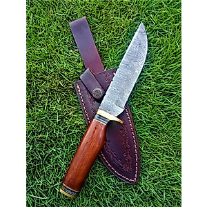 Damascus Steel Knife, Bowie Hunting Knife, Fixed Blade skinning Knife Exotic wood handle 10 inches